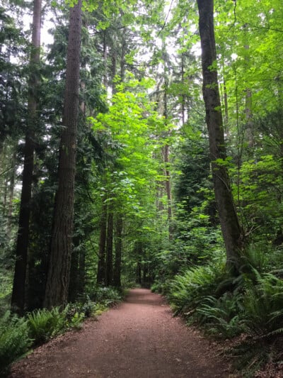 5 Hikes Near Seattle for Absolute Beginners - Fox and Briar