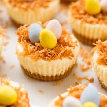 Easter Bird's Nest Mini Cheesecakes - Fox and Briar