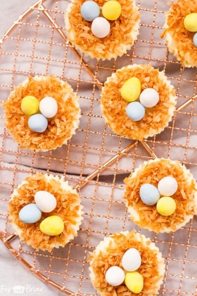 Easter Bird's Nest Mini Cheesecakes - Fox and Briar