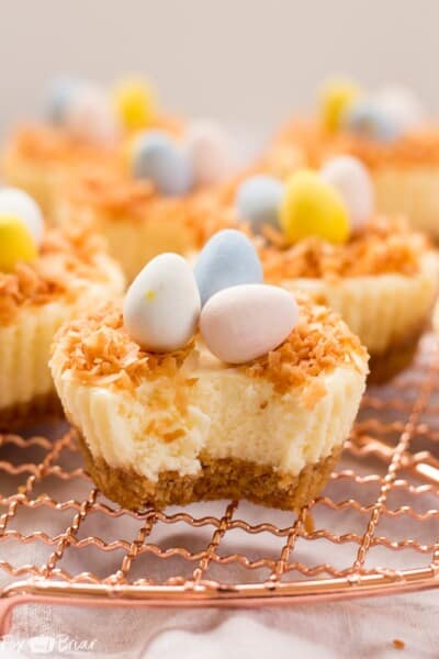 Easter Bird's Nest Mini Cheesecakes - Fox and Briar