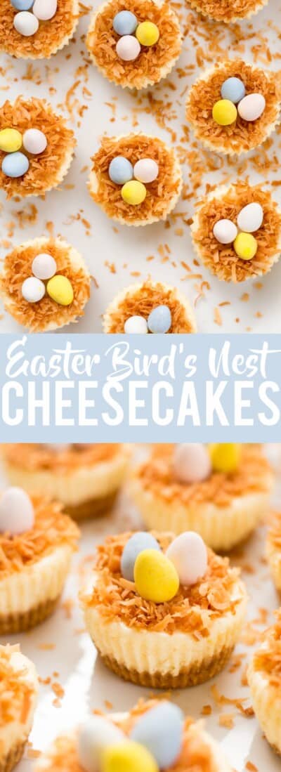 Easter Bird's Nest Mini Cheesecakes - Fox and Briar
