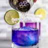 Magical Color Changing Margarita Recipe - Fox and Briar
