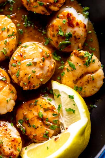 Lemon Butter Scallops Recipe - Fox and Briar